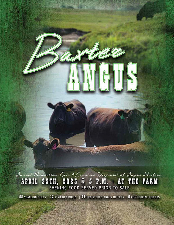 Baxter Angus | Northeastern South Dakota